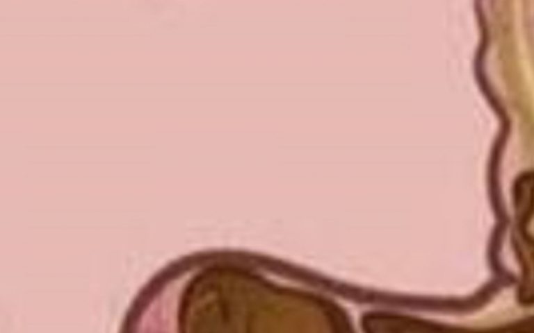 How to Clean Your Colon and Remove Waste Naturally – Easy Recipes