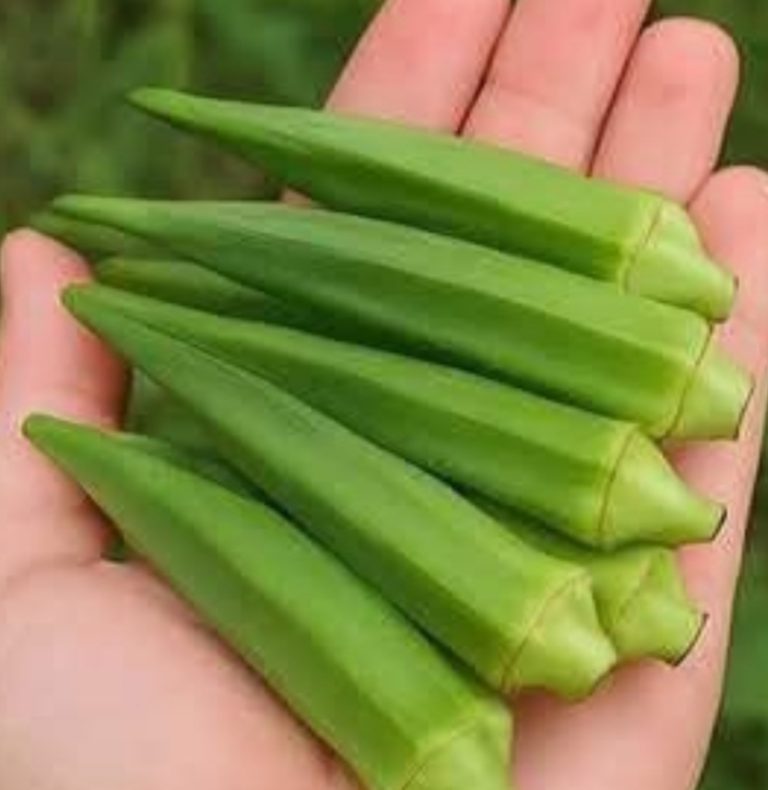 11 Powerful Reasons to Drink Okra Water Daily — And How to Make It the ...